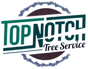 Mississippi Tree Service | Top Notch Tree Services